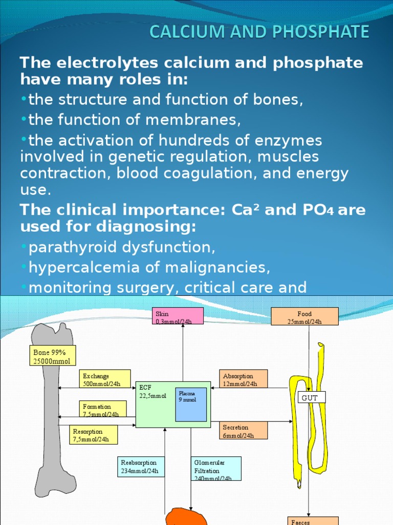 Calcium and Phosphate (2) | Chemistry | Titration