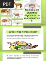 Ciclo de Vida de La Vaca | PDF | Vacas | Leche