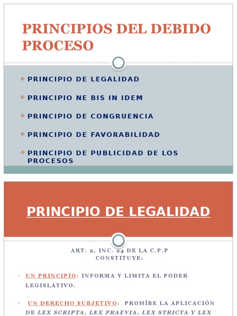 Principios Del Debido Proceso | PDF