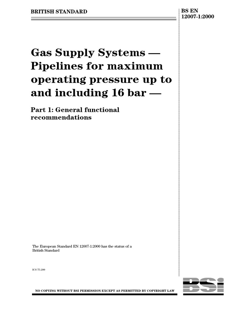 BS EN 12007-1-2000 Novi Standard | PDF | Social Institutions | Social ...