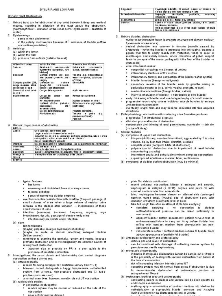 Dysuria | PDF | Urinary Tract Infection | Urinary System
