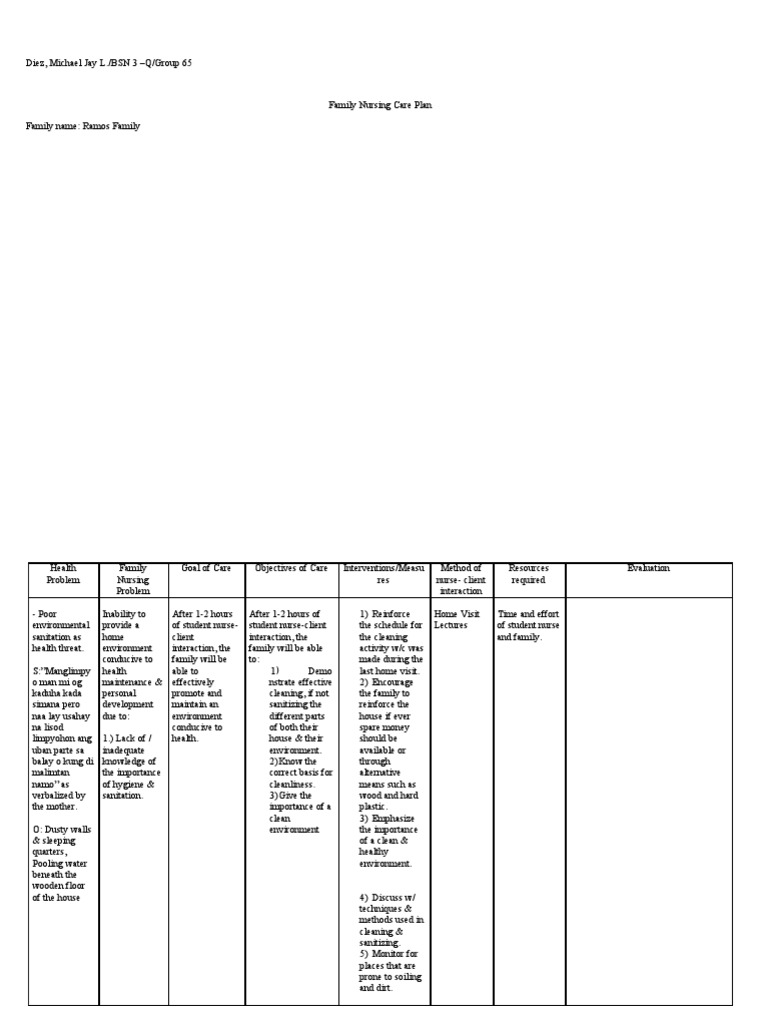 FNCP (Family Nursing Care Plan) #1 (Poor Environmental Sanitation ...