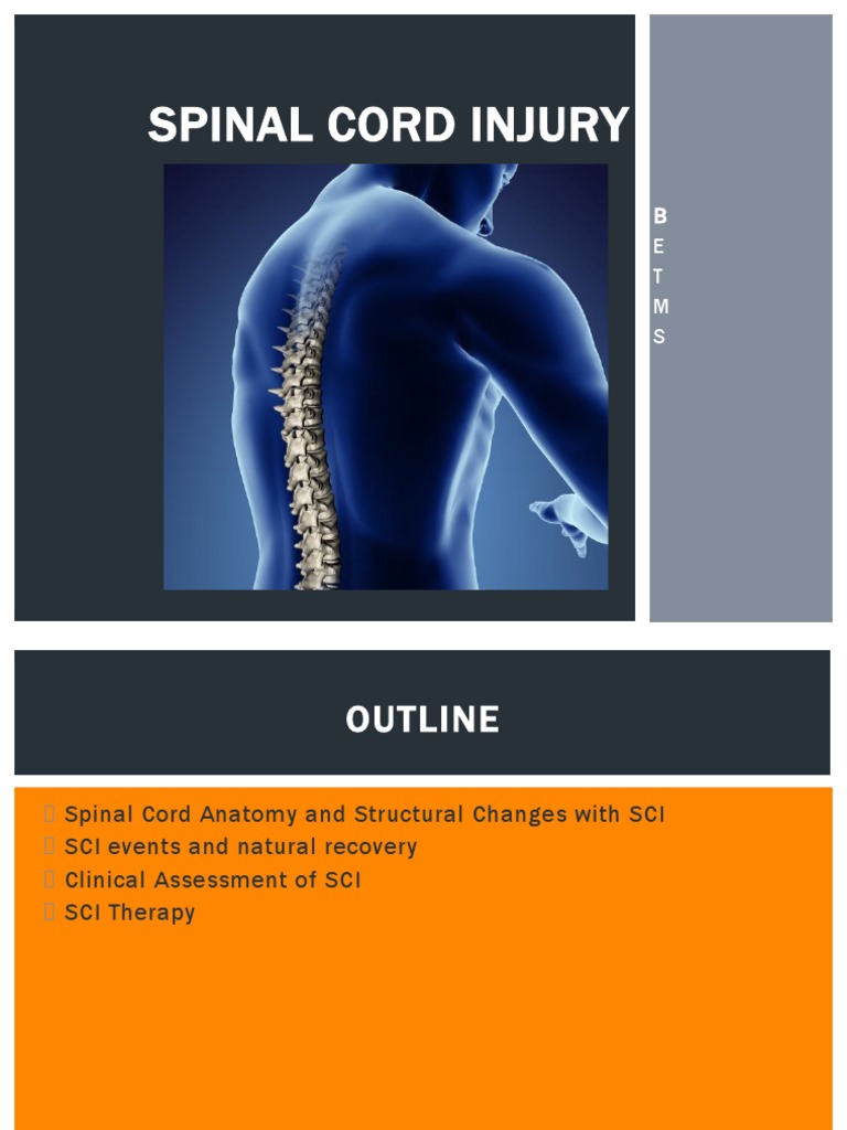 Spinal Cord Injury | PDF | Spinal Cord | Vertebral Column