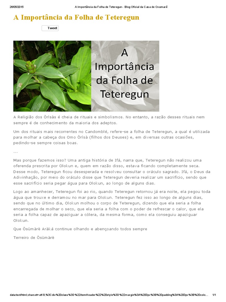 A Importância Da Folha de Teteregun - Blog Oficial Da Casa de Oxumarê ...