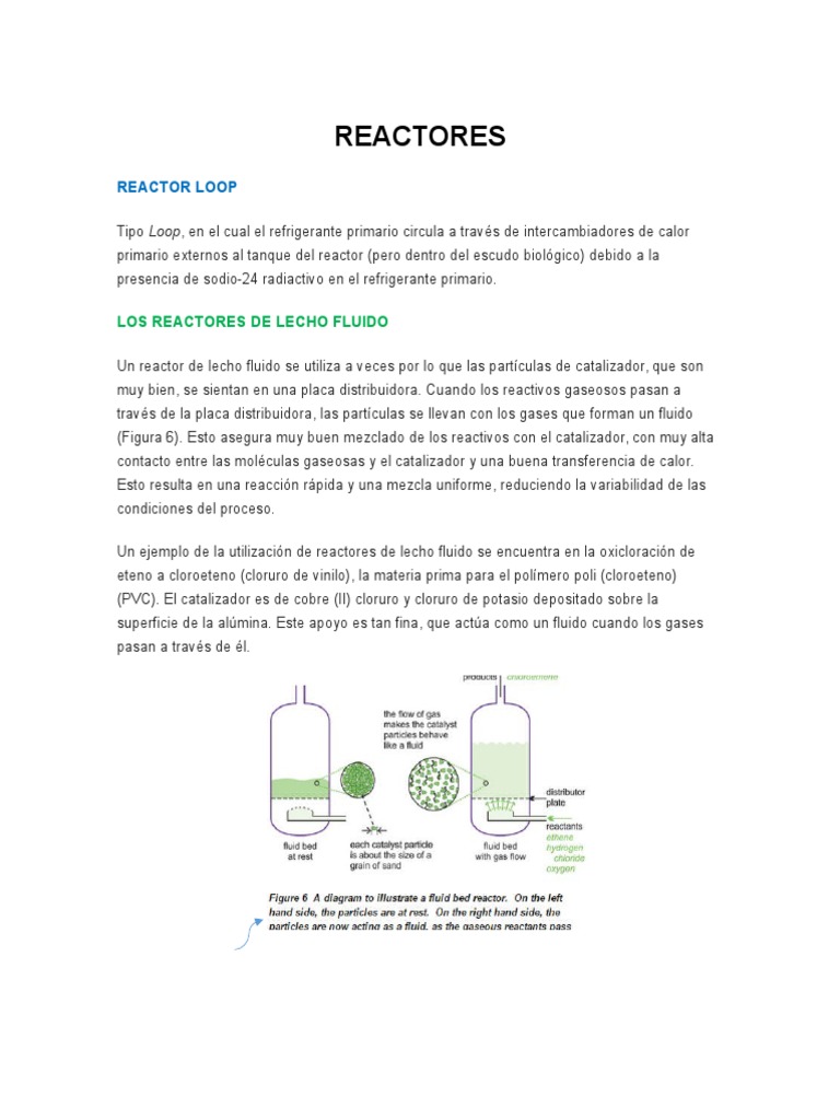 Reactor Loop | PDF