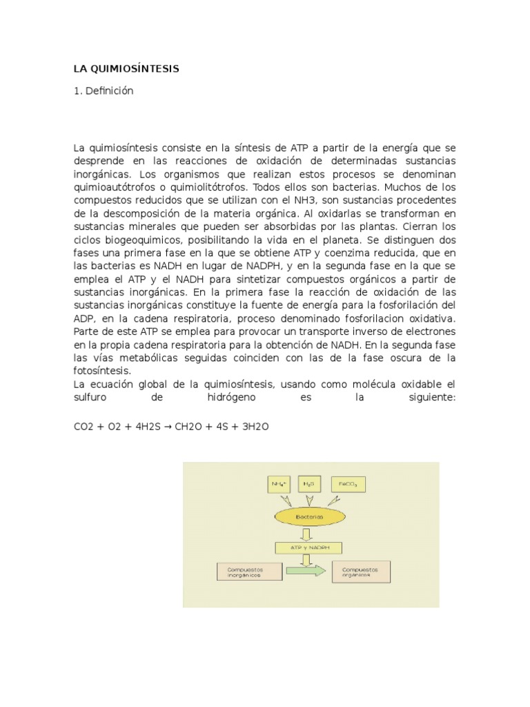 La Quimiosíntesis | PDF | Bioquímica | Química