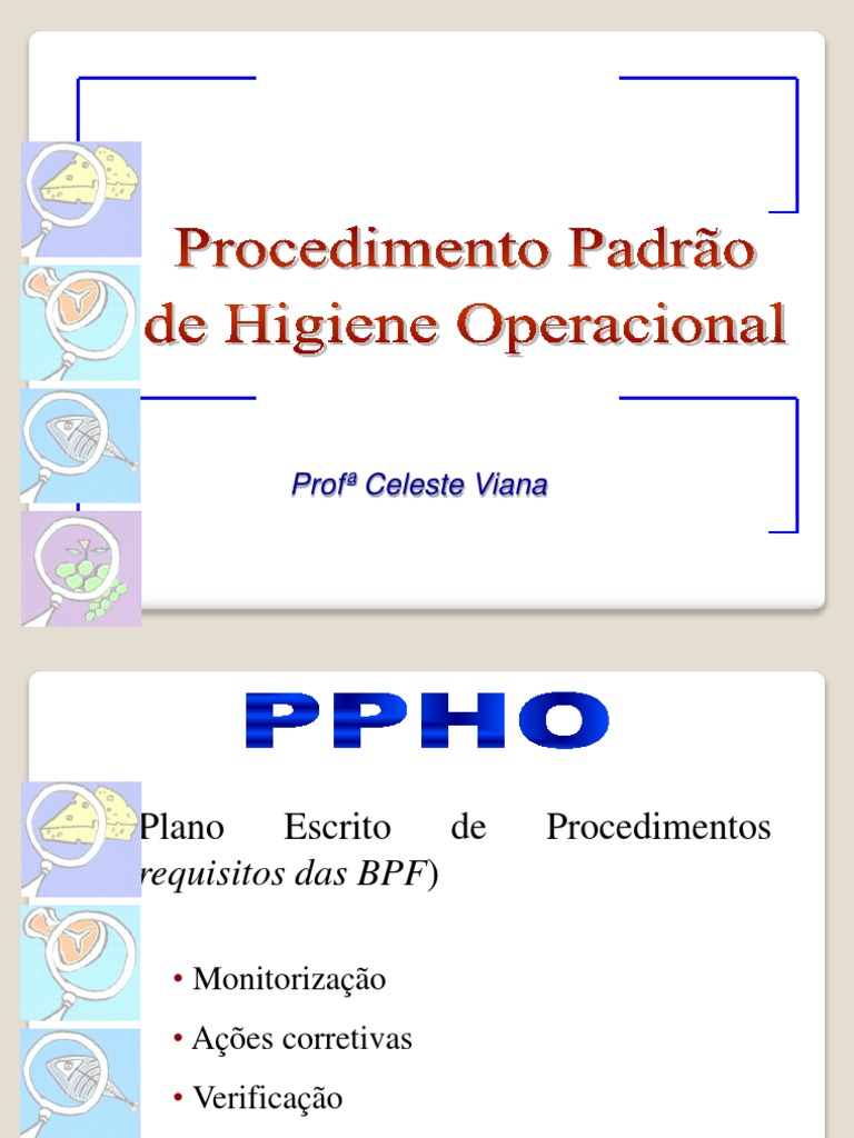 PPHO | PDF | Controlador lógico programável | Embalagem e rotulagem