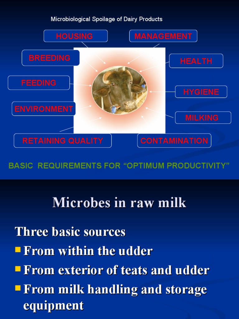 Microbes of Raw Milk | Download Free PDF | Bacillus | Milk