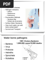 Colilert - 18 E-Coli Detection Manual | PDF | Microbiology | Bacteria
