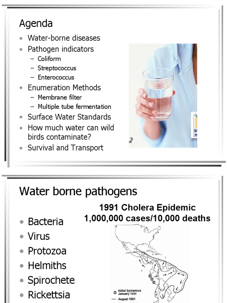 Microbiology of Water | PDF | Pathogen | Escherichia Coli