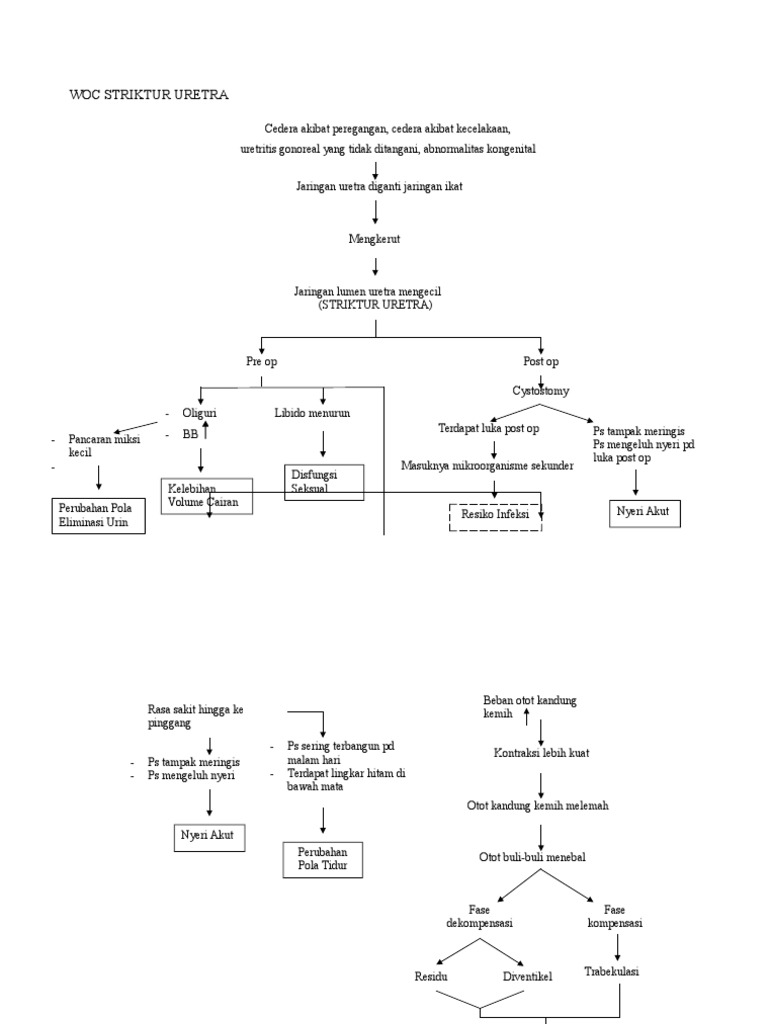 Woc Striktur Uretra | PDF