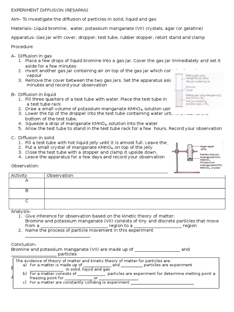 Experiment Diffusion | PDF | Gases | Liquids