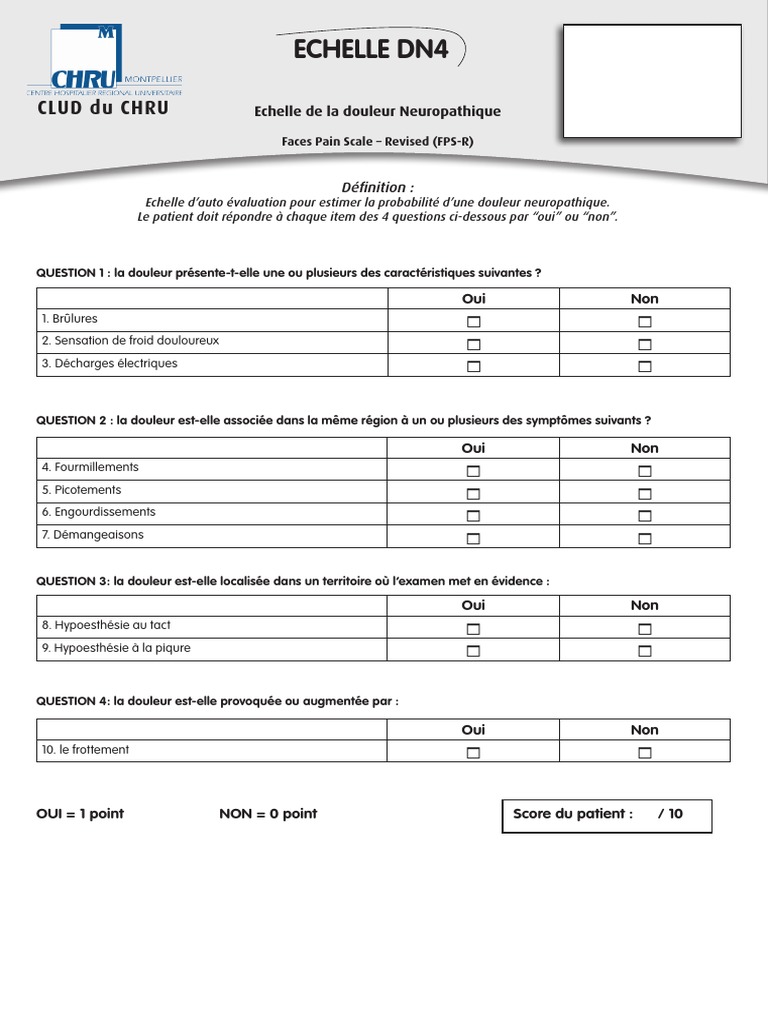 Douleurs Neuropathiques Questionnaire DN4 | PDF