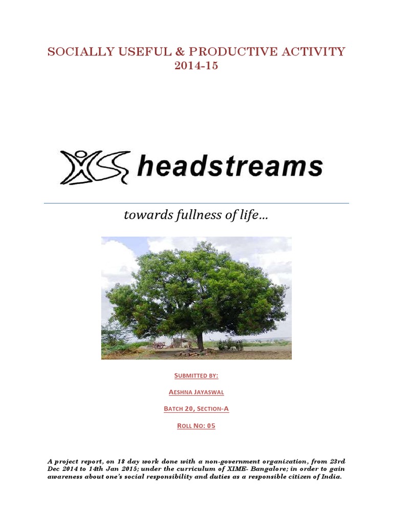 Supa Report | PDF | Non Governmental Organization | Entrepreneurship