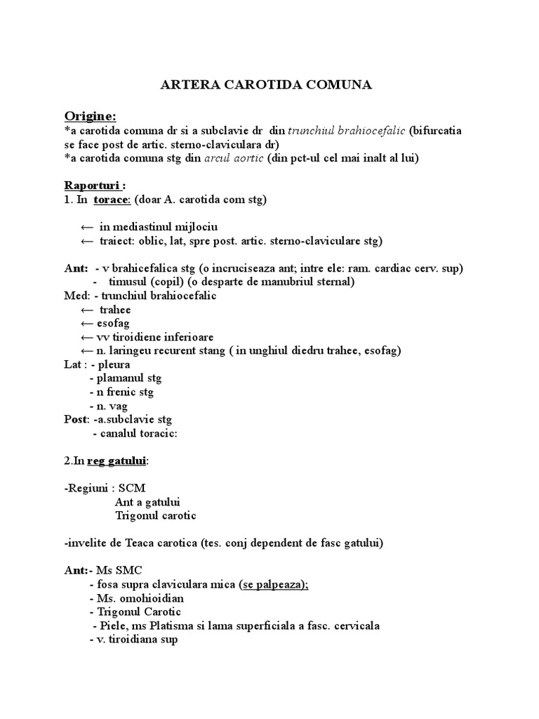 Artera Carotida Comuna | PDF