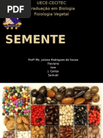 Sementes Recalcitrantes e Ortodoxas | PDF | Semente | Umidade