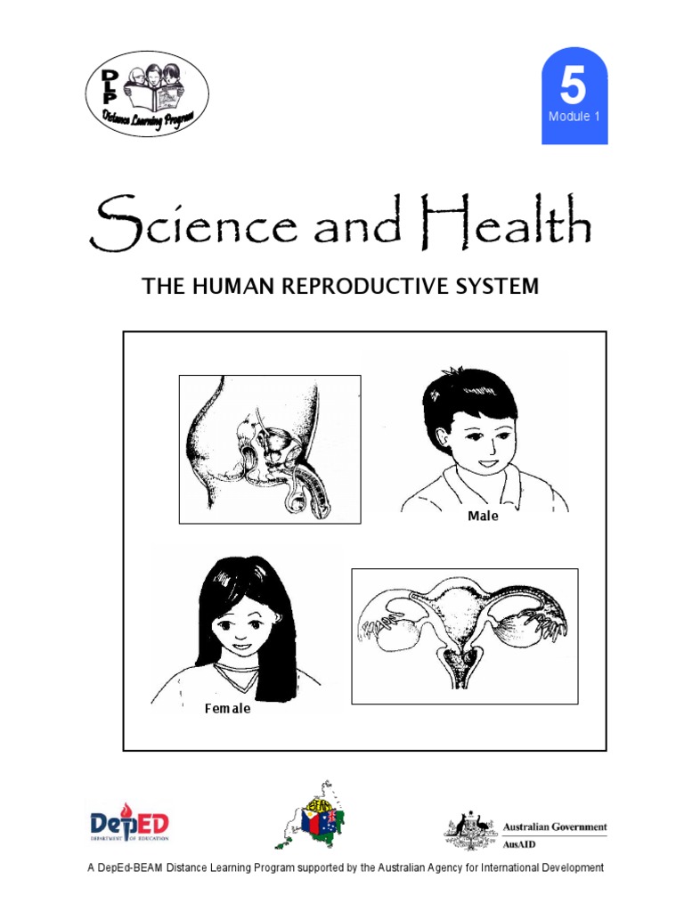 Science 5 DLP 1 - Human Reproductive System | PDF | Reproductive System ...