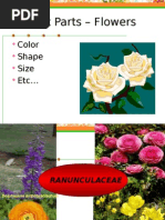Types of Dry Indehiscent Fruits | PDF | Fruit | Seed