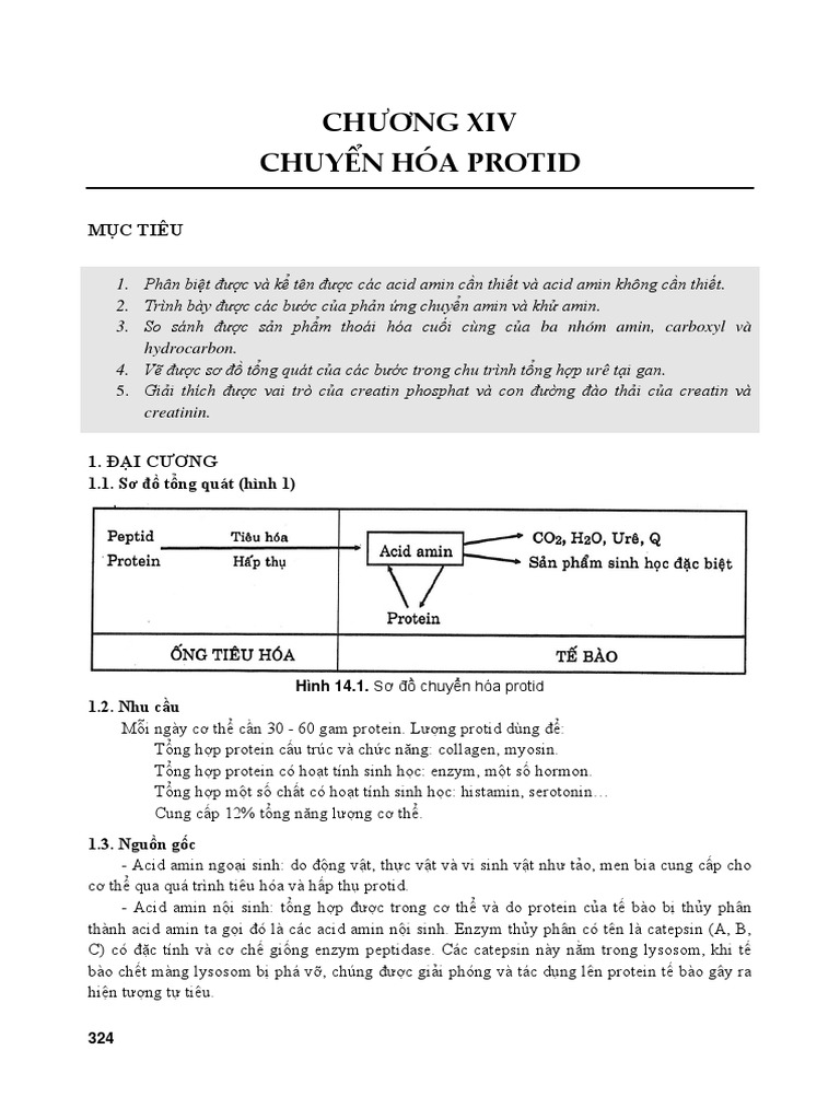 Chuyen Hoa Protid | PDF
