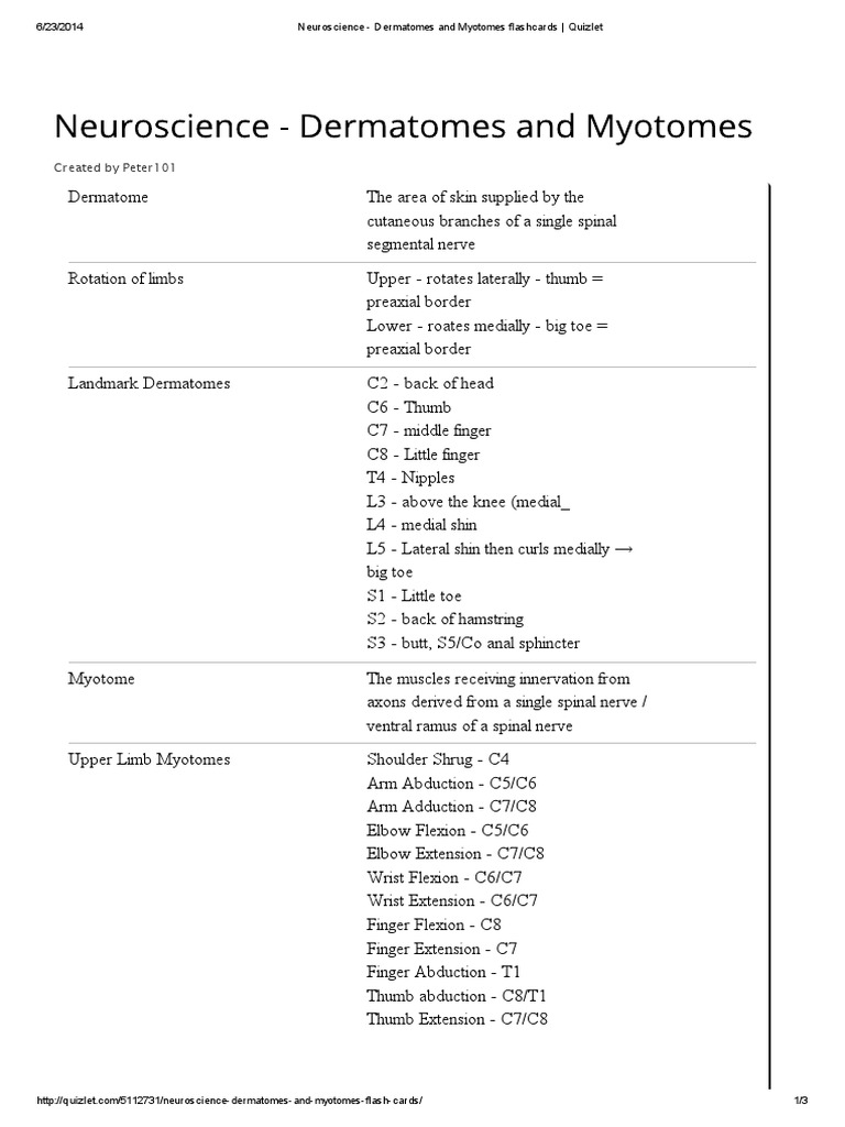 An Overview of Dermatomes, Myotomes, and Spinal Cord Lesions: A ...