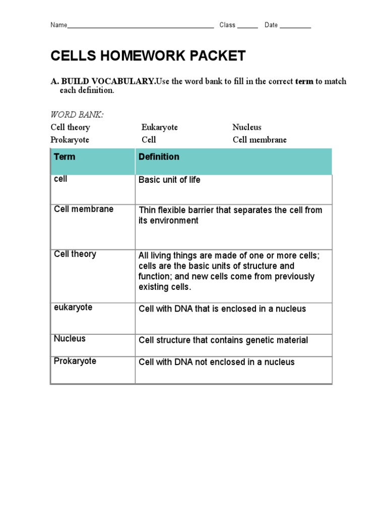 Cells HW Packet | PDF | Organelle | Cell (Biology)