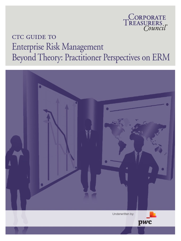 Enterprise Risk Management - Beyond Theory | PDF | Enterprise Risk ...