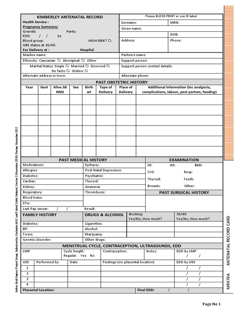 Antenatal Record | PDF | Childbirth | Prenatal Development
