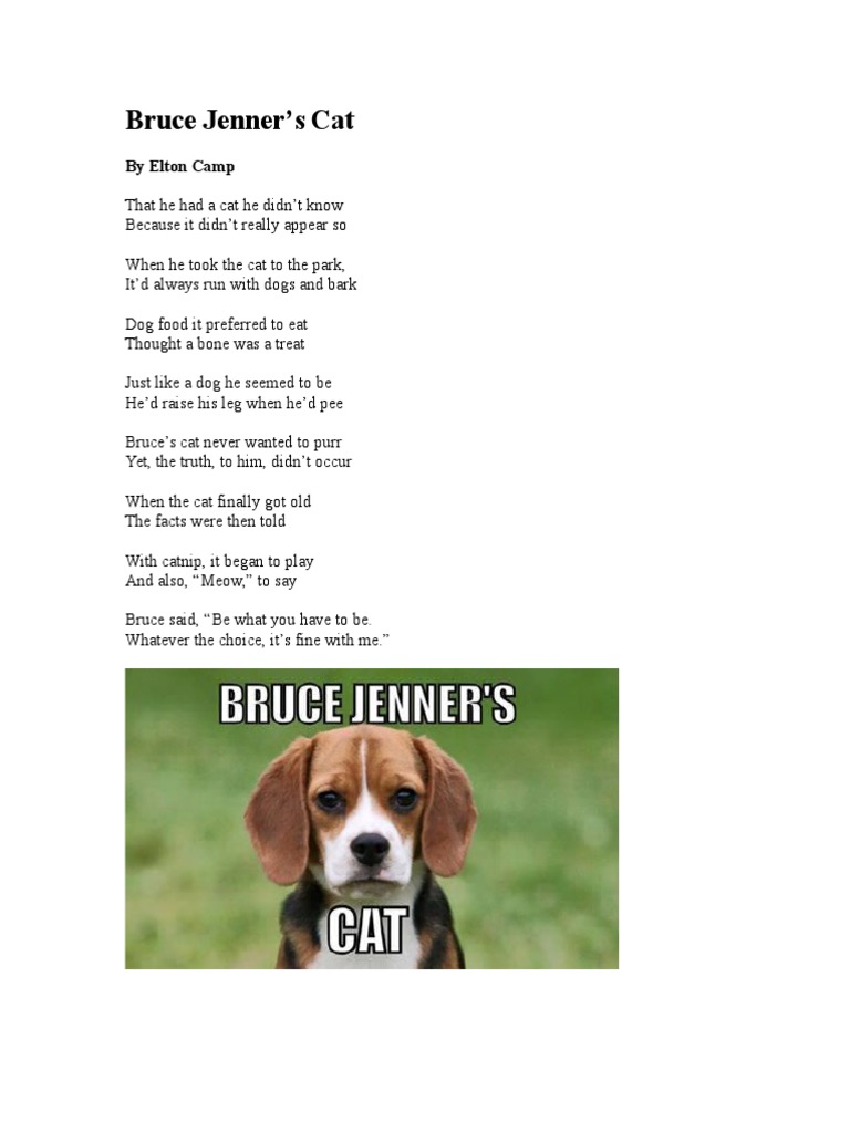 Bruce Jenner's Unusual Cat Tale | PDF