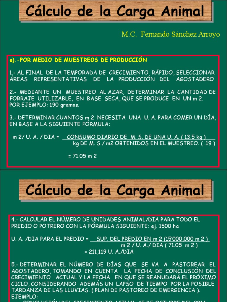Calculo de Carga Animal | PDF