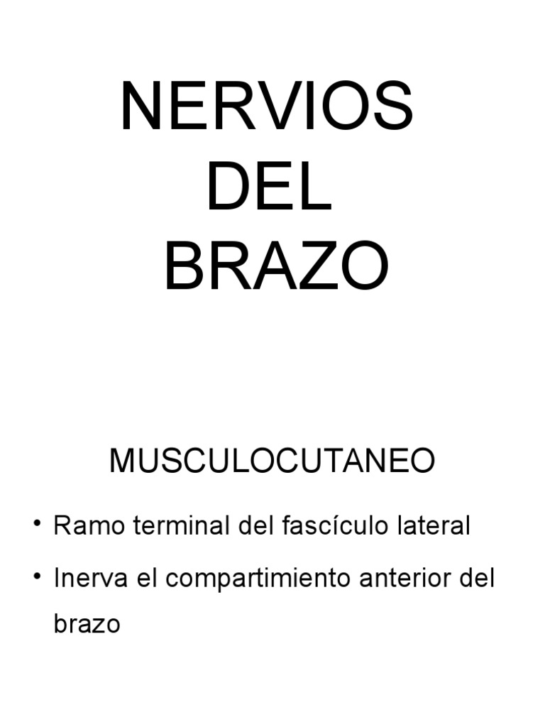 Nervios Del Brazo | PDF | Mano | Extremidades (anatomía)
