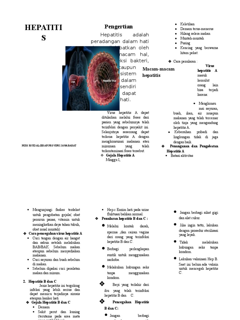Leaflet Hepatitis | PDF