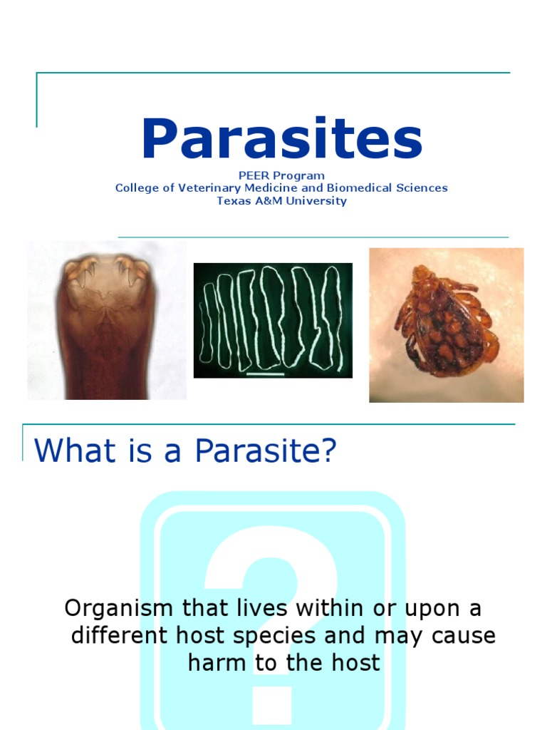 Parasites | PDF
