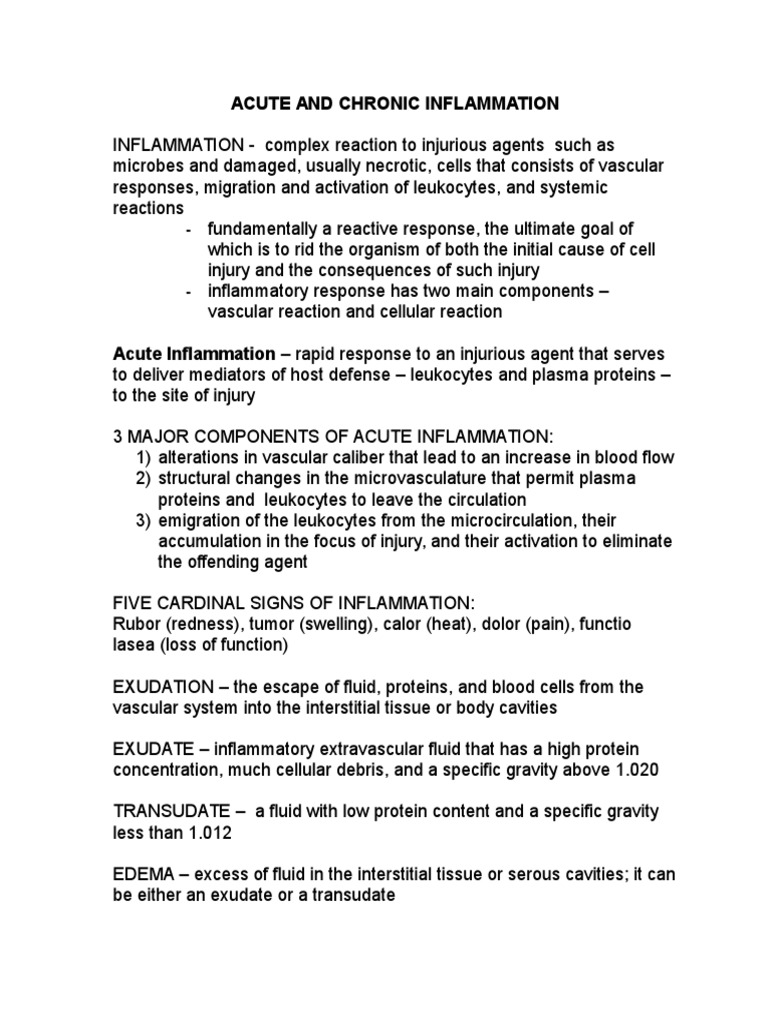 Acute and Chronic Inflammation | PDF | Macrophage | Inflammation