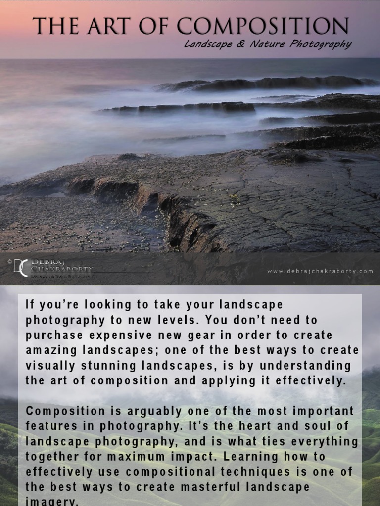 The Art of Composition | PDF | Composition (Visual Arts) | Vision