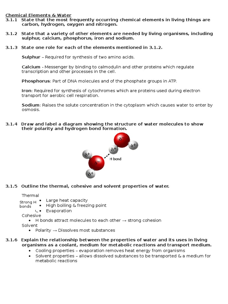 IB BIOLOGY SL TOPIC 3 Nucleic Acids & Proteins and Chemical Elements ...