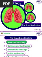 IGCSE Science Worksheets | PDF | Reproductive System | Lung