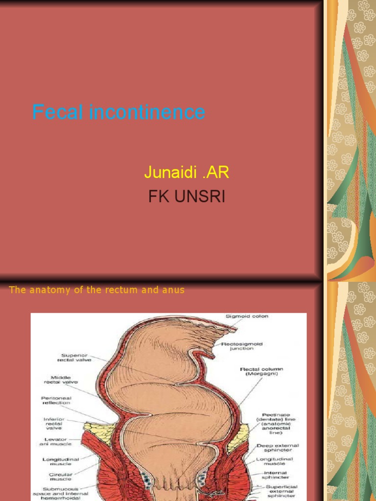 Fecal_incontinence.ppt | Rectum | Medical Specialties | Free 30-day ...