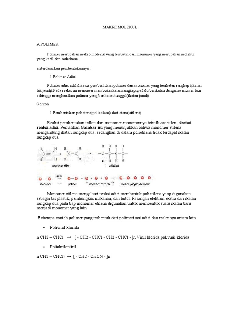 Makalah Makromolekul | PDF