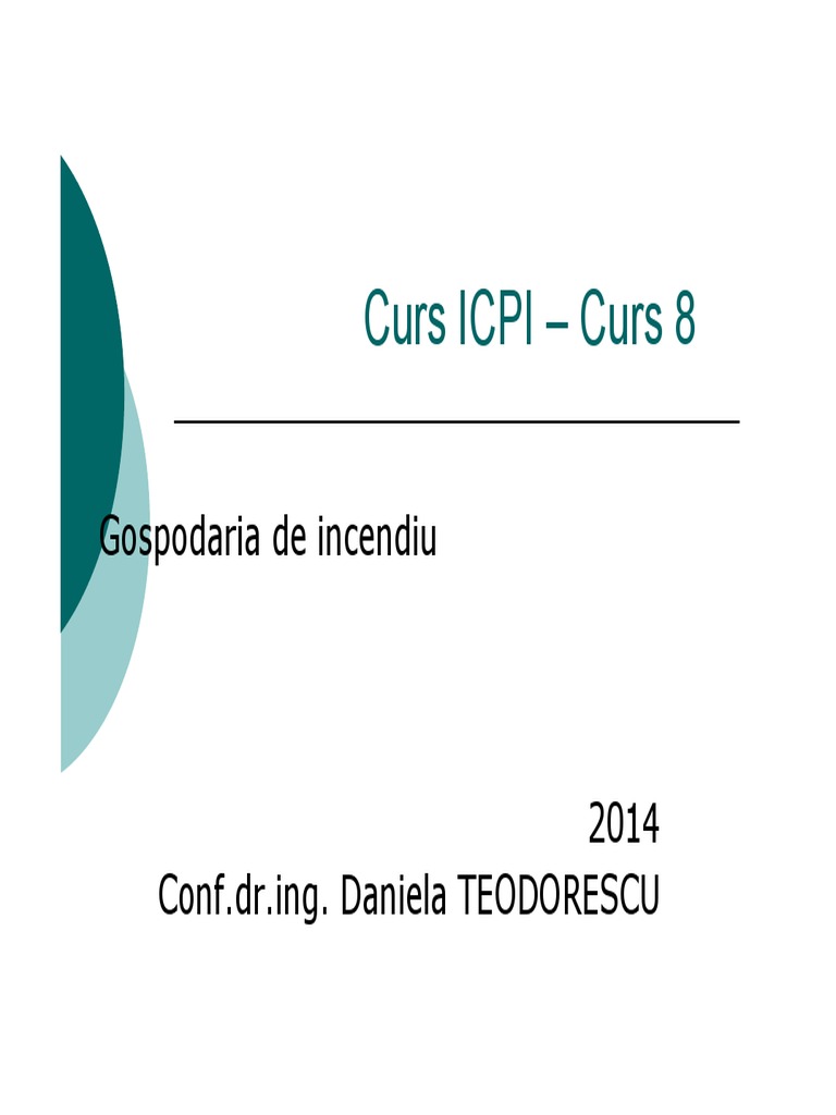 Curs 8 Icpi Gi 02 - 2014 | PDF