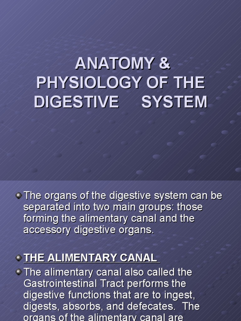 Anatomy & Physiology of The Digestive System-Powerpoint | PDF ...