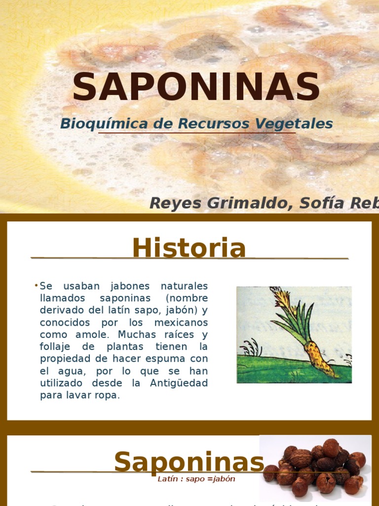 Saponinas: Bioquímica de Recursos Vegetales