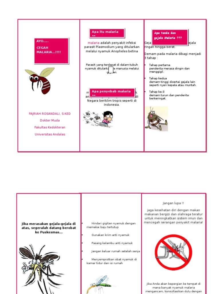Leaflet Malaria | PDF