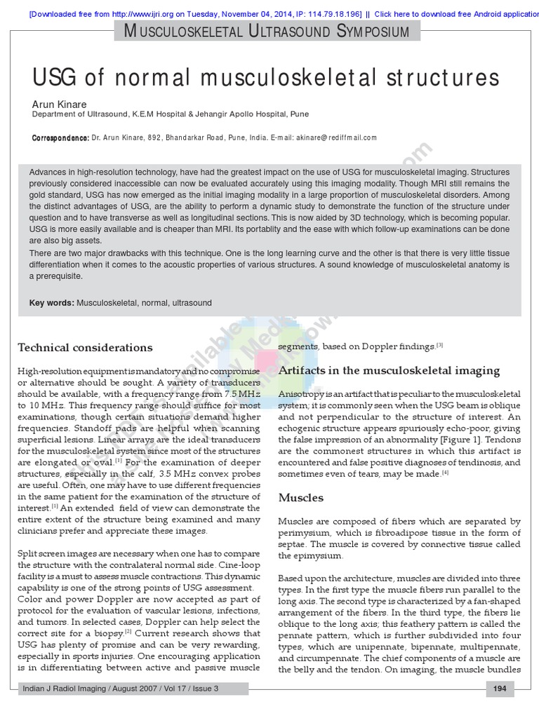USG of Normal Musculoskeletal Structures | Download Free PDF | Knee ...