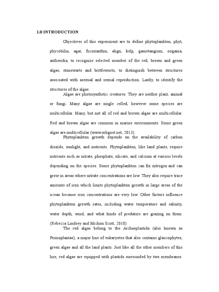 Lab Report | PDF | Algae | Plants