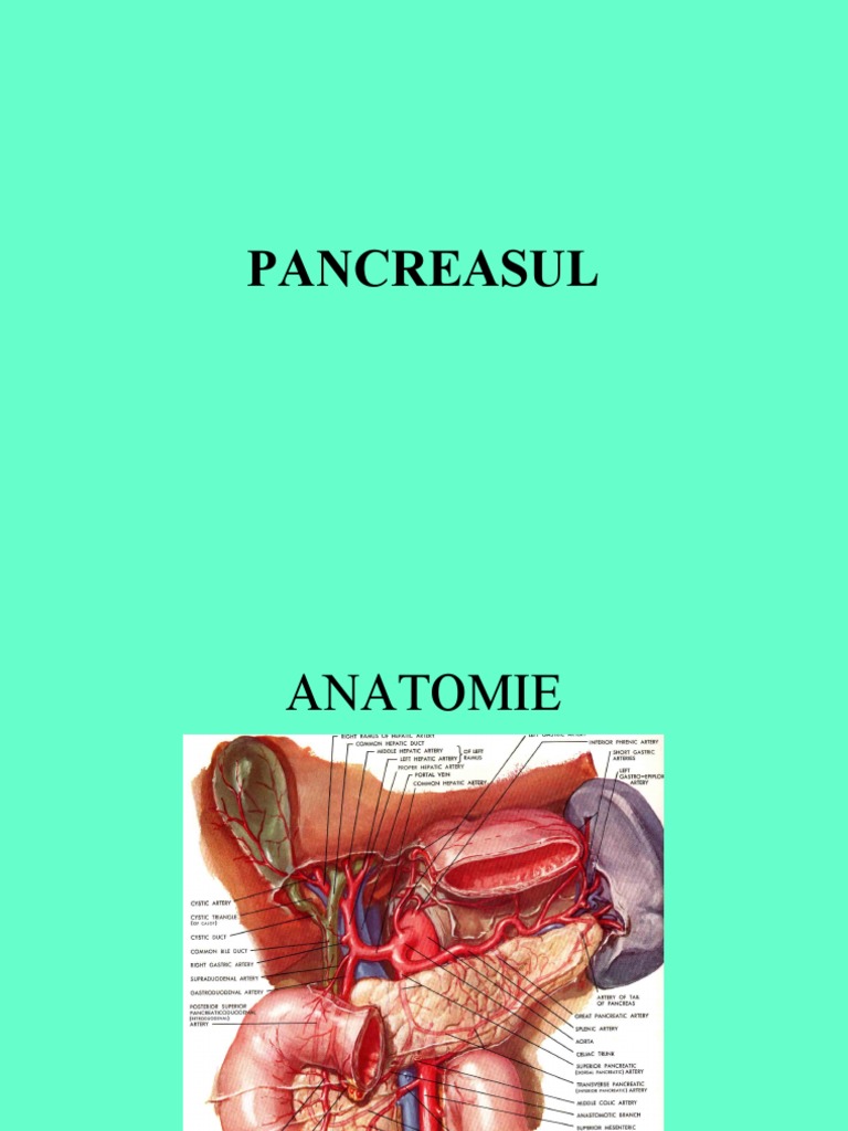 Pancreasul