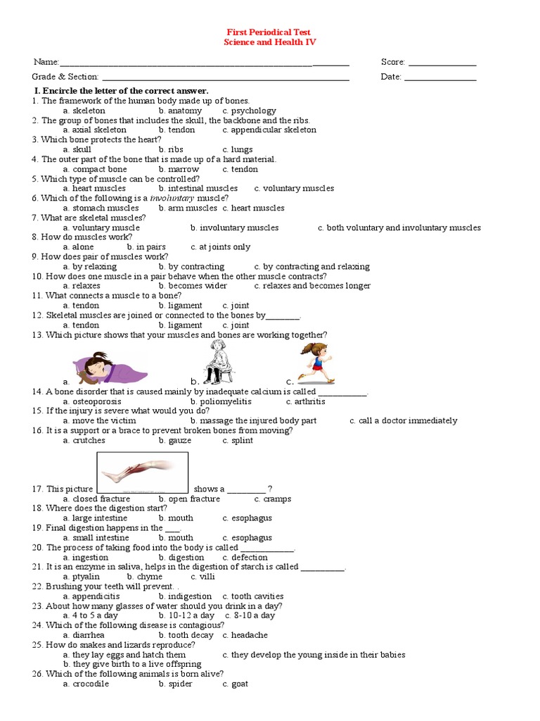 Test Papers 1st Grading | PDF