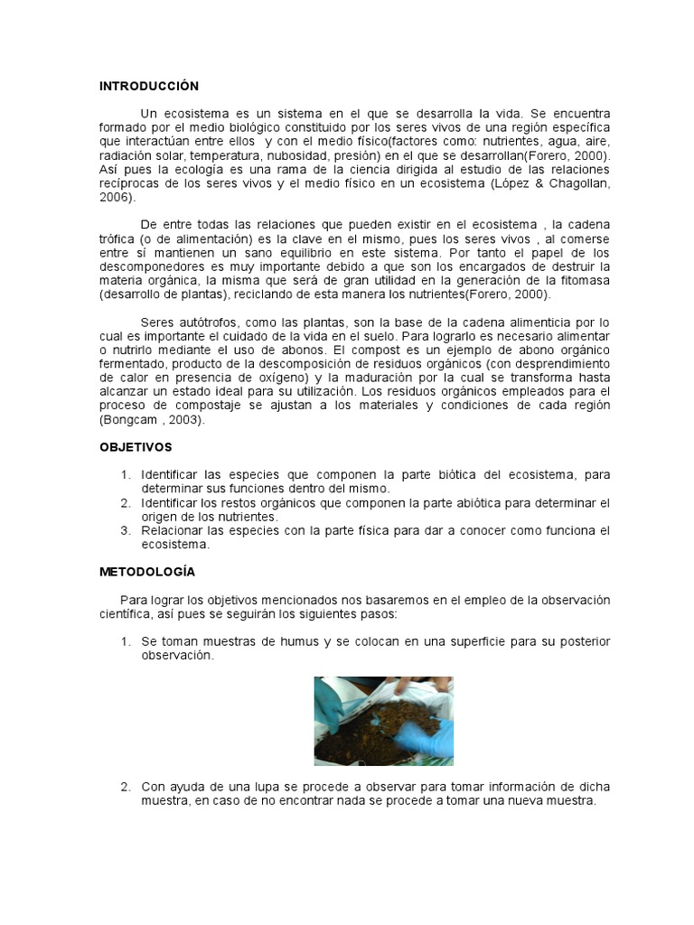 Macroecosistema Del Humus | PDF | Compost | Insectos
