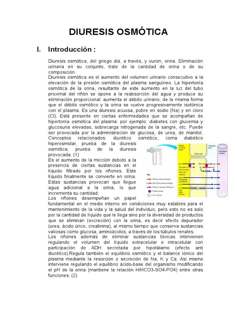 Diuresis Osmótica Fisio | PDF | Sodio | Orina