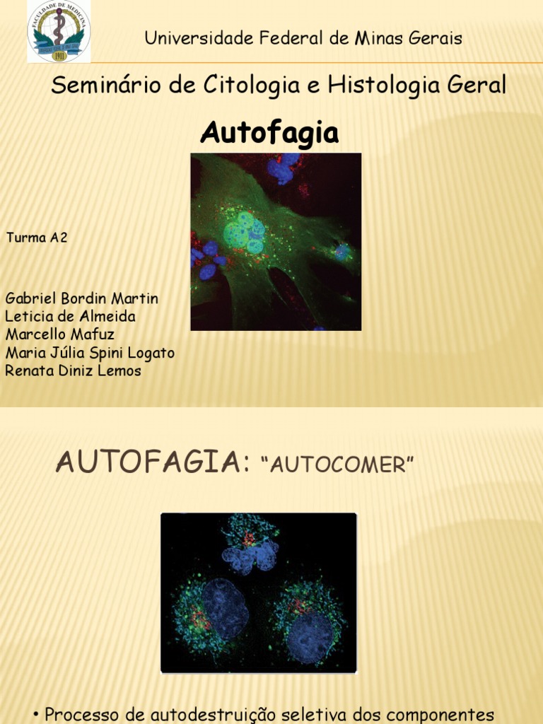 Autofagia: Funções e Tipos Celulares | PDF | Lisossoma | Autofagia