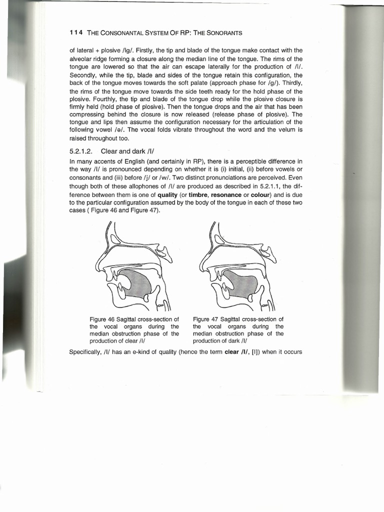 Clear and Dark L | PDF | Phonetics | Phonology